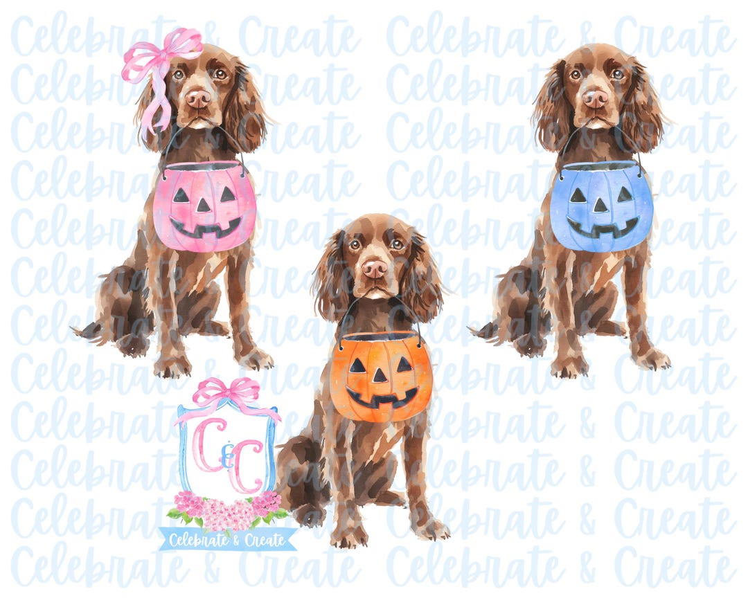 Watercolor Set of 3 Halloween Boykin Spaniel Dog Puppy Pumpkin Candy ...