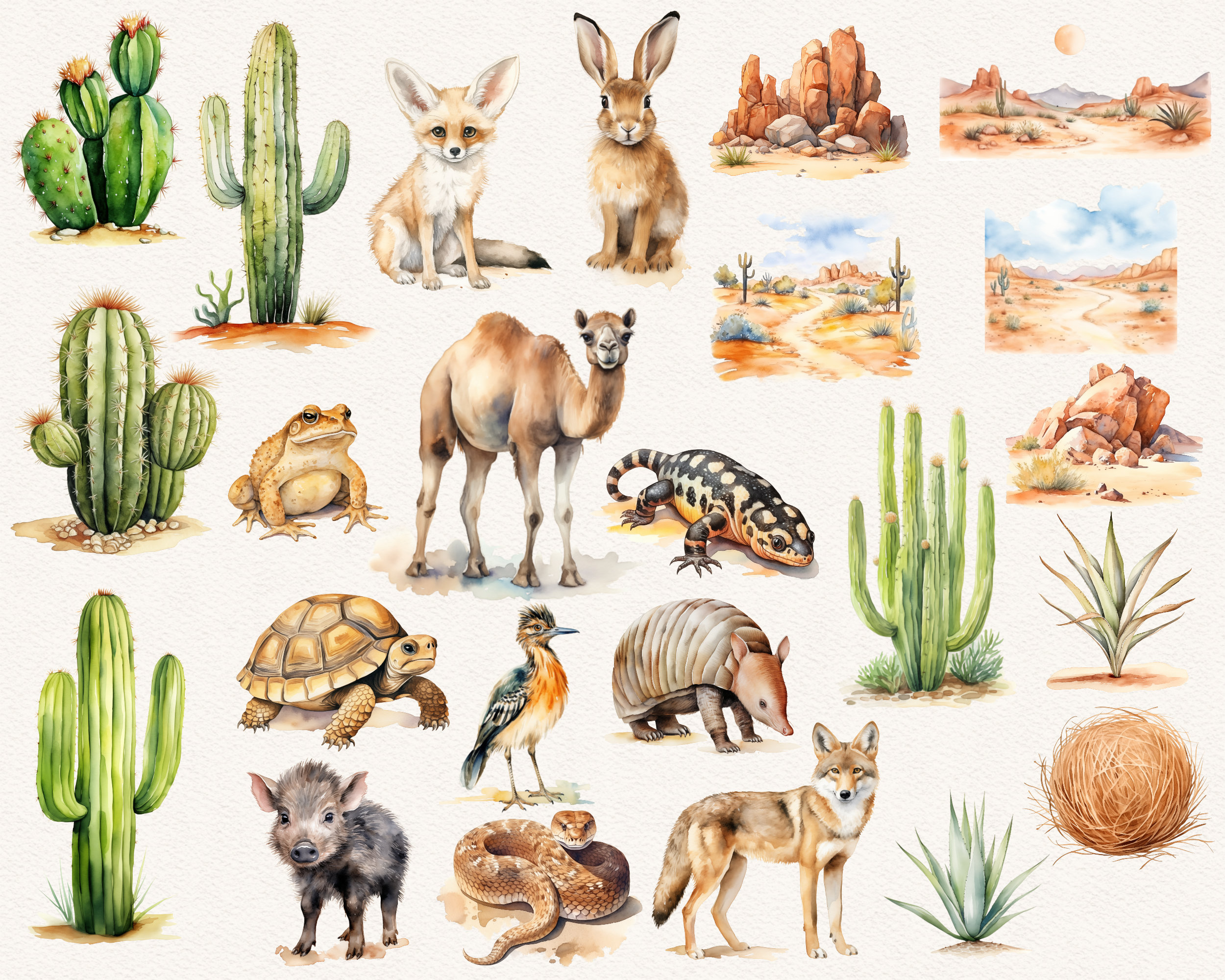 Watercolor Desert Animals PNG Clip Art Clipart Party Invitation ...