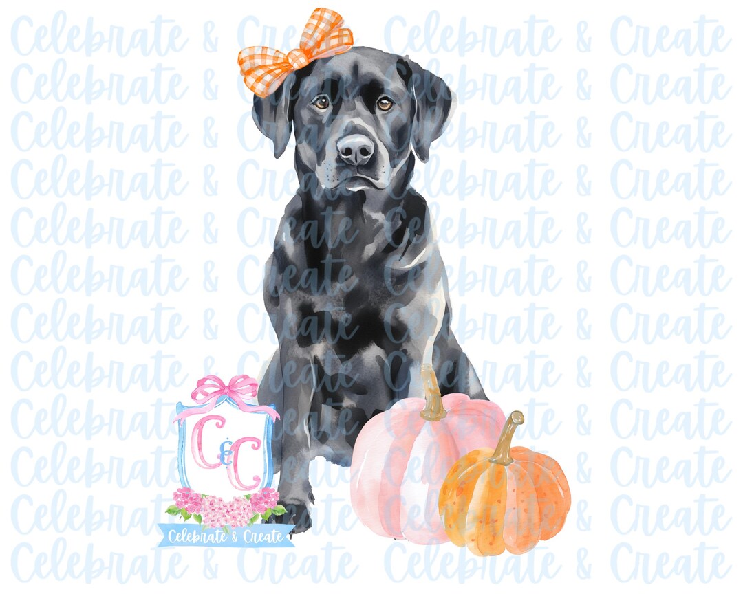 Watercolor Black Lab Labrador Retriever Hunting Dog Orange Gingham Bow ...