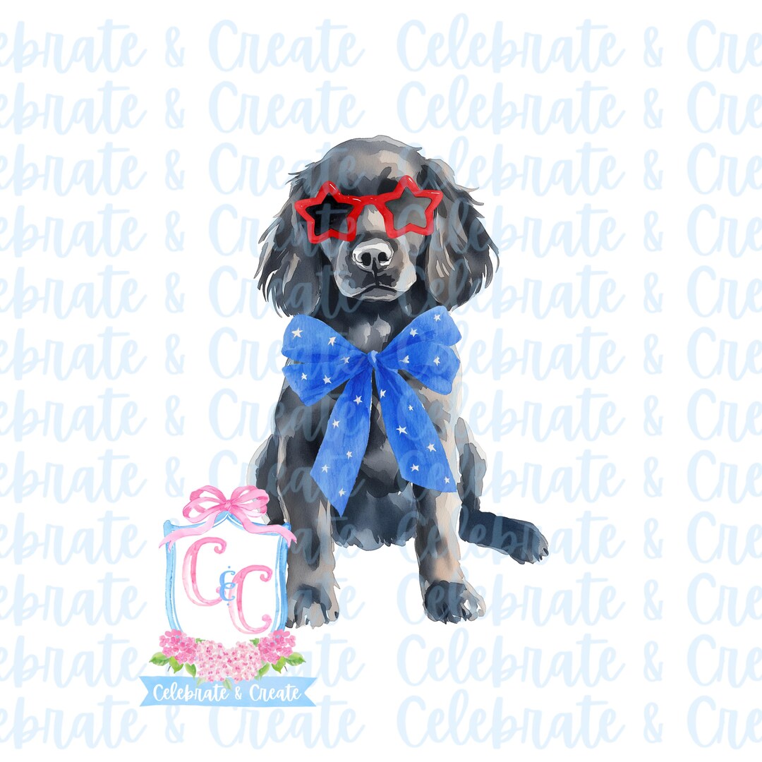 Boykin Spaniel (2) Watercolor Dog Clipart PNG Memorial Day Fourth of ...