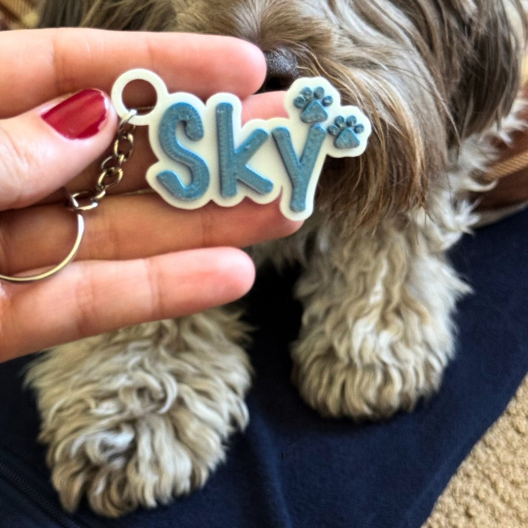 Pet Tag Name Keychains, 3D Printed Keychains, Personalized Pet Name ...