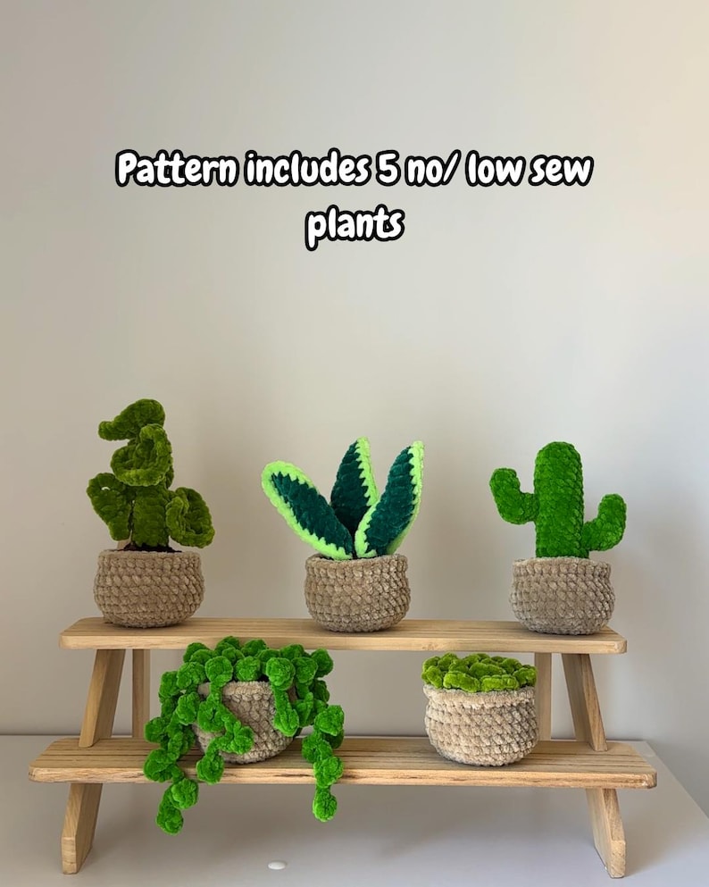 Crochet Plants Bundle Pattern 5-in-1 Amigurumi Plants Plushie (PDF ...