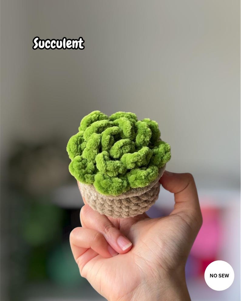 Crochet Plants Bundle Pattern 5-in-1 Amigurumi Plants Plushie (PDF ...
