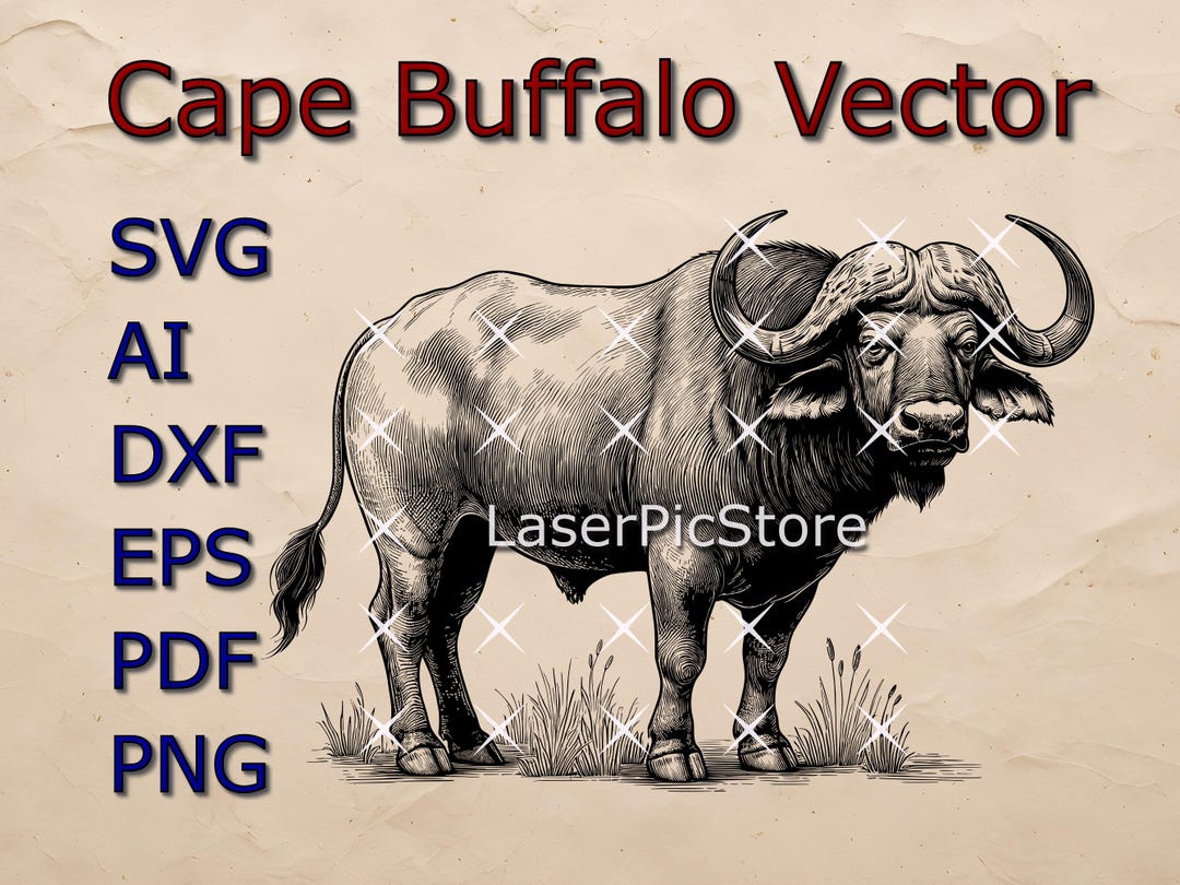 Cape Buffalo Vector File - SVG AI DXF - African Animal Svg - Buffalo ...