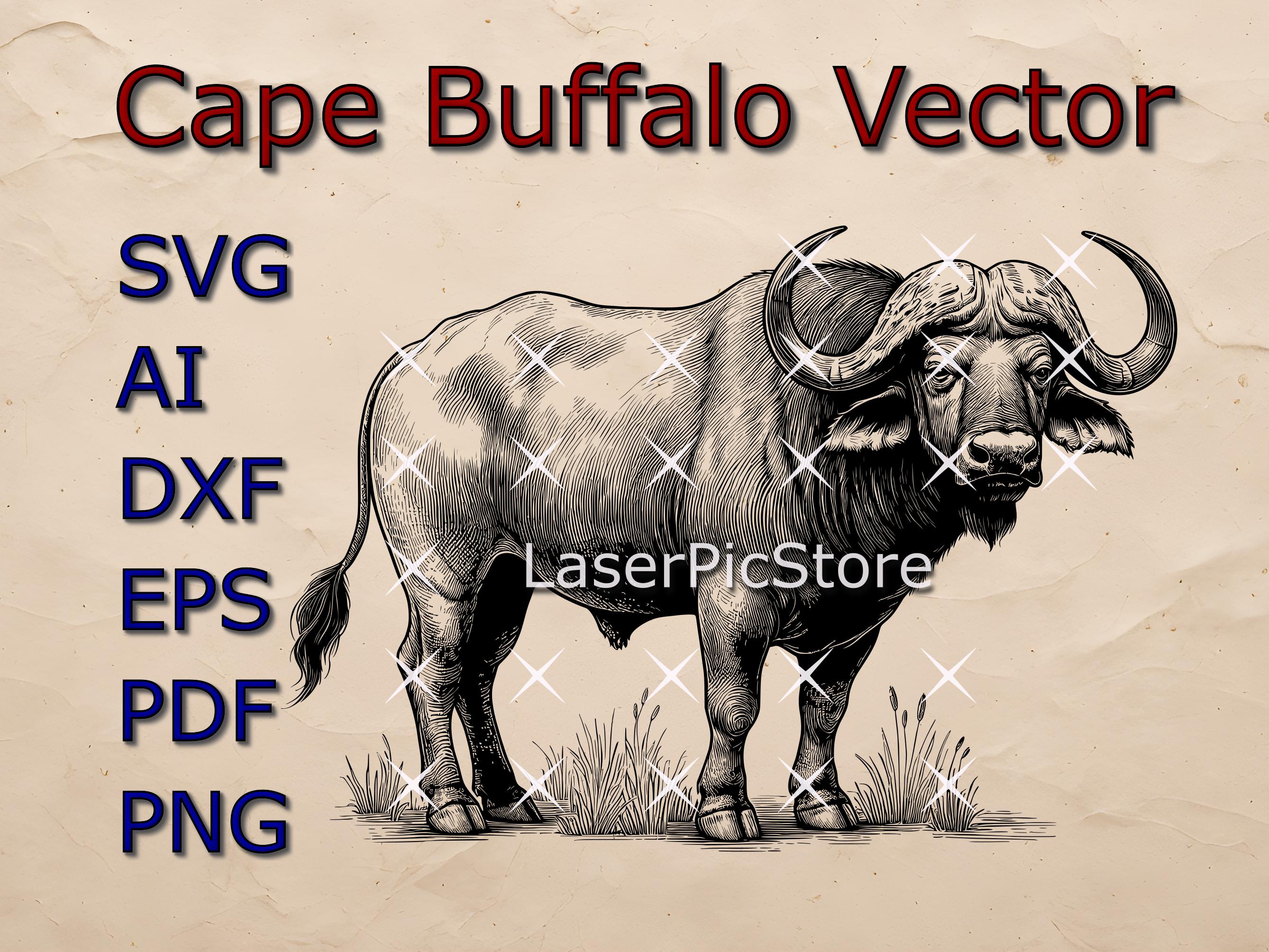 Cape Buffalo Vector File - SVG AI DXF - African Animal Svg - Buffalo ...