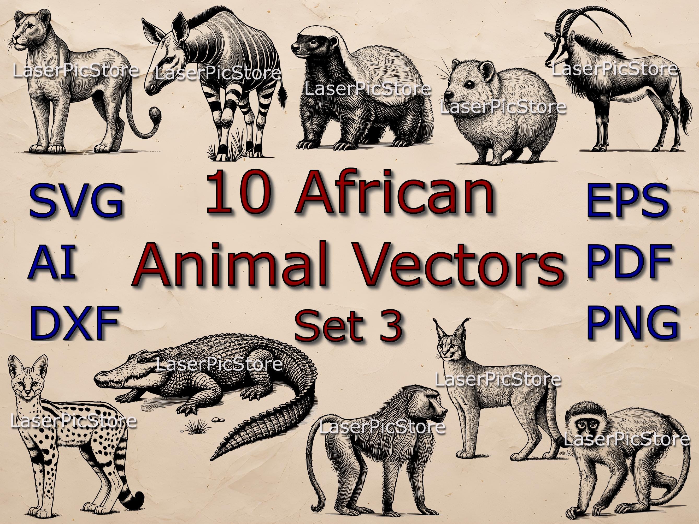 African Animal Vector Files - SVG AI DXF and More - 10 Animals - Set 3 ...