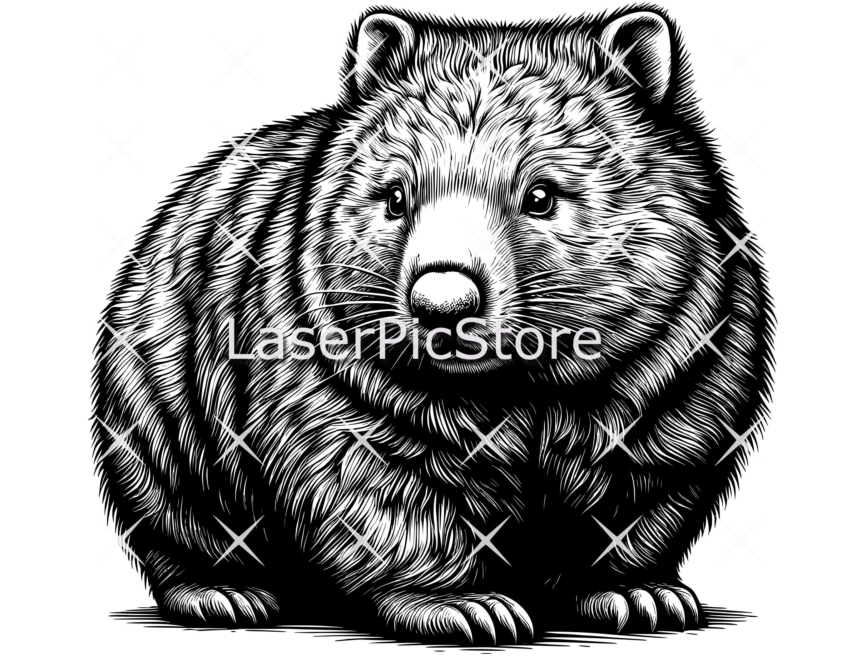 Wombat Vector File - SVG AI DXF - Australian Animal Svg - Wombat Laser ...
