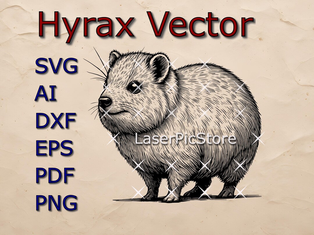 Hyrax Vector File - SVG AI DXF - African Animal Svg - Dassie Laser File ...