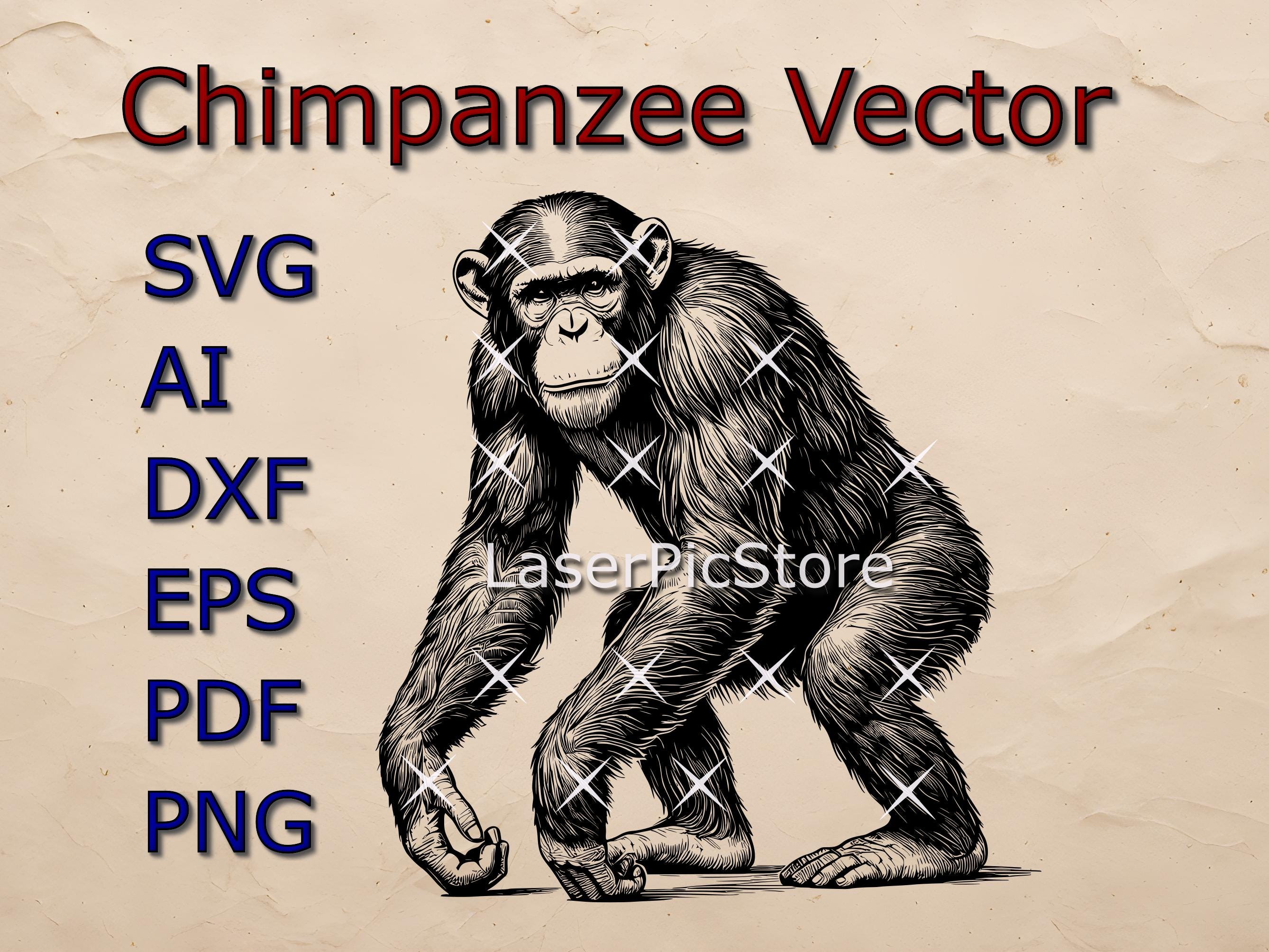 Chimpanzee Vector File - SVG AI DXF - African Animal Svg - Chimpanzee ...