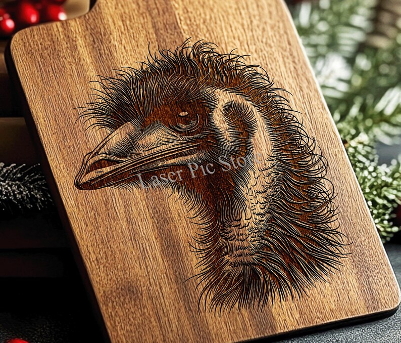 Detailed Vector of an Emu Head - SVG AI DXF and More - Australian ...