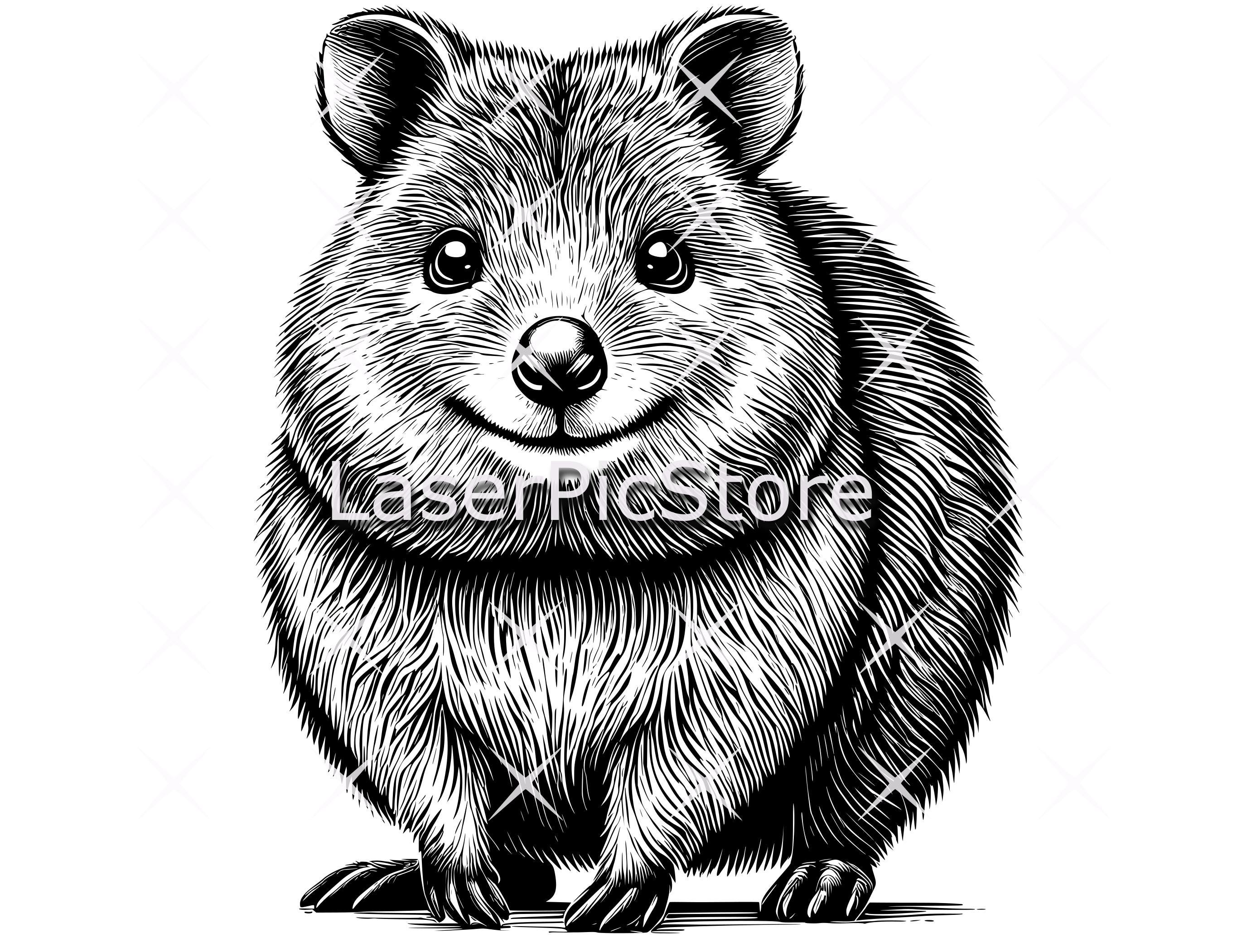 Quokka Vector File - SVG AI DXF - Australian Animal Svg - Quokka Laser ...