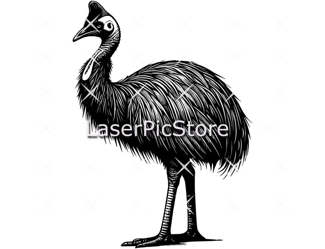 Cassowary Vector File - SVG AI DXF and More - Australian Animal Svg ...