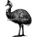 Cassowary Vector File - SVG AI DXF and More - Australian Animal Svg ...