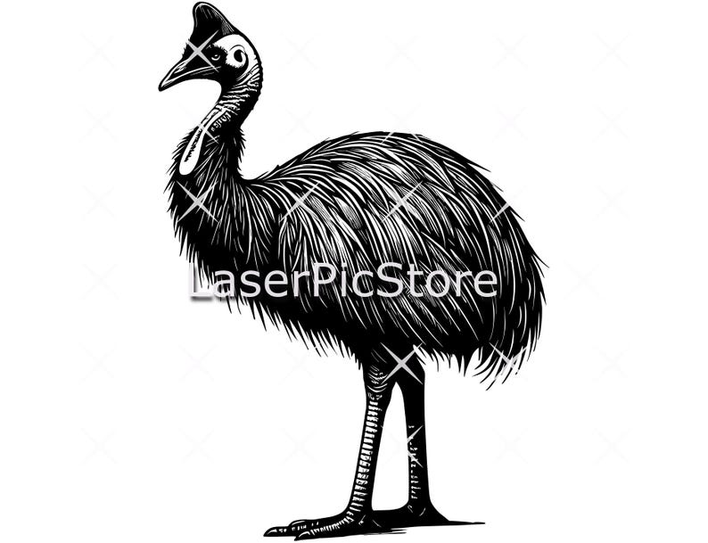 Cassowary Vector File - SVG AI DXF and More - Australian Animal Svg ...