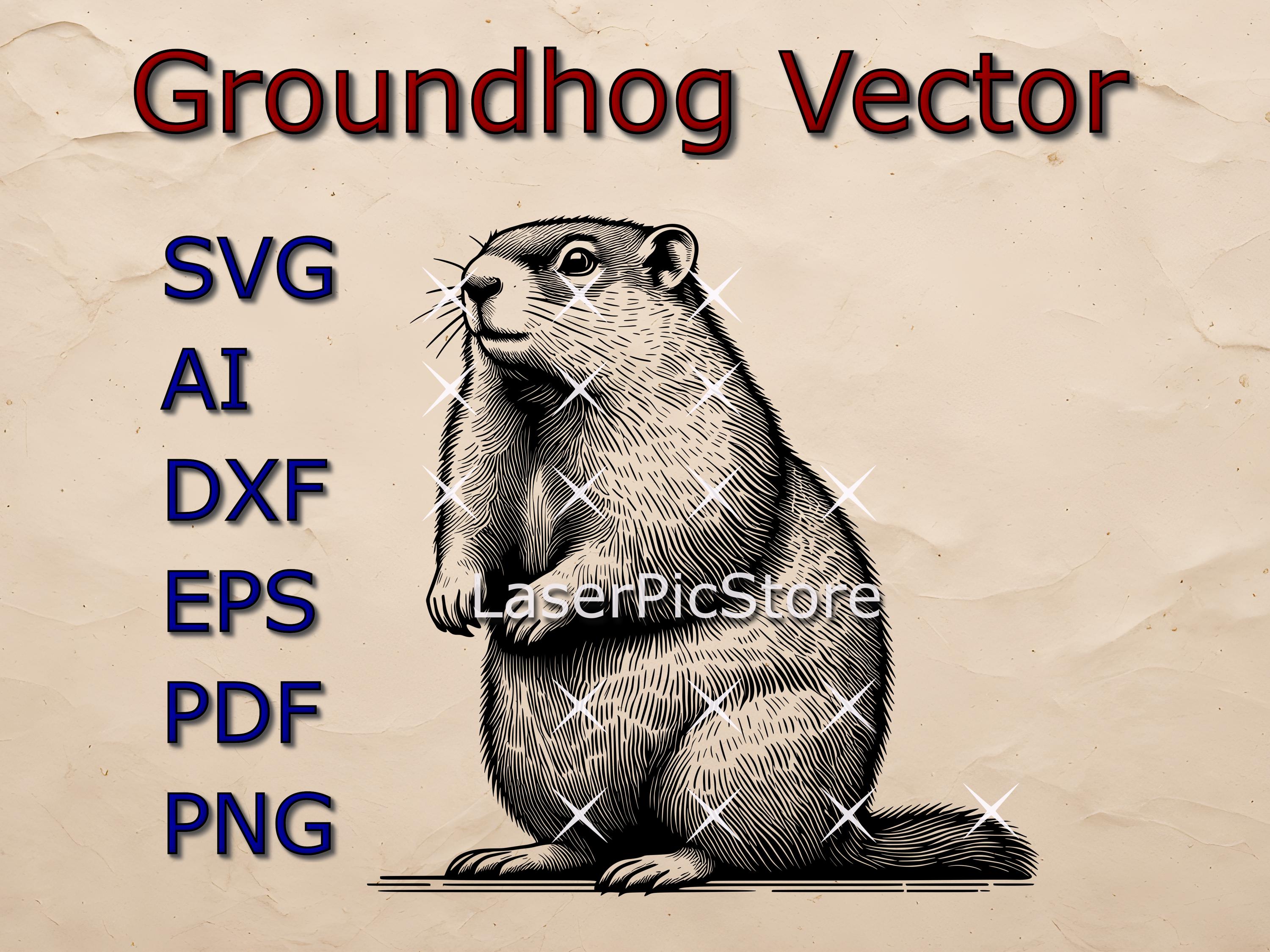 Groundhog Vector File - SVG AI DXF - American Animal Svg - Woodchuck ...