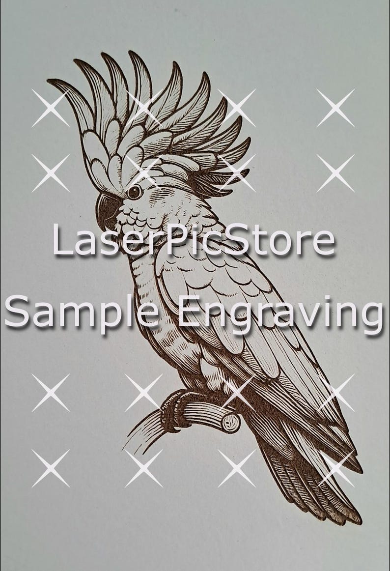 Pink Cockatoo Vector File - SVG AI DXF and More - Australian Animal Svg ...