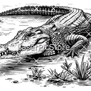 Crocodile Vector File - SVG AI DXF - Australian Animal Svg - Saltwater ...