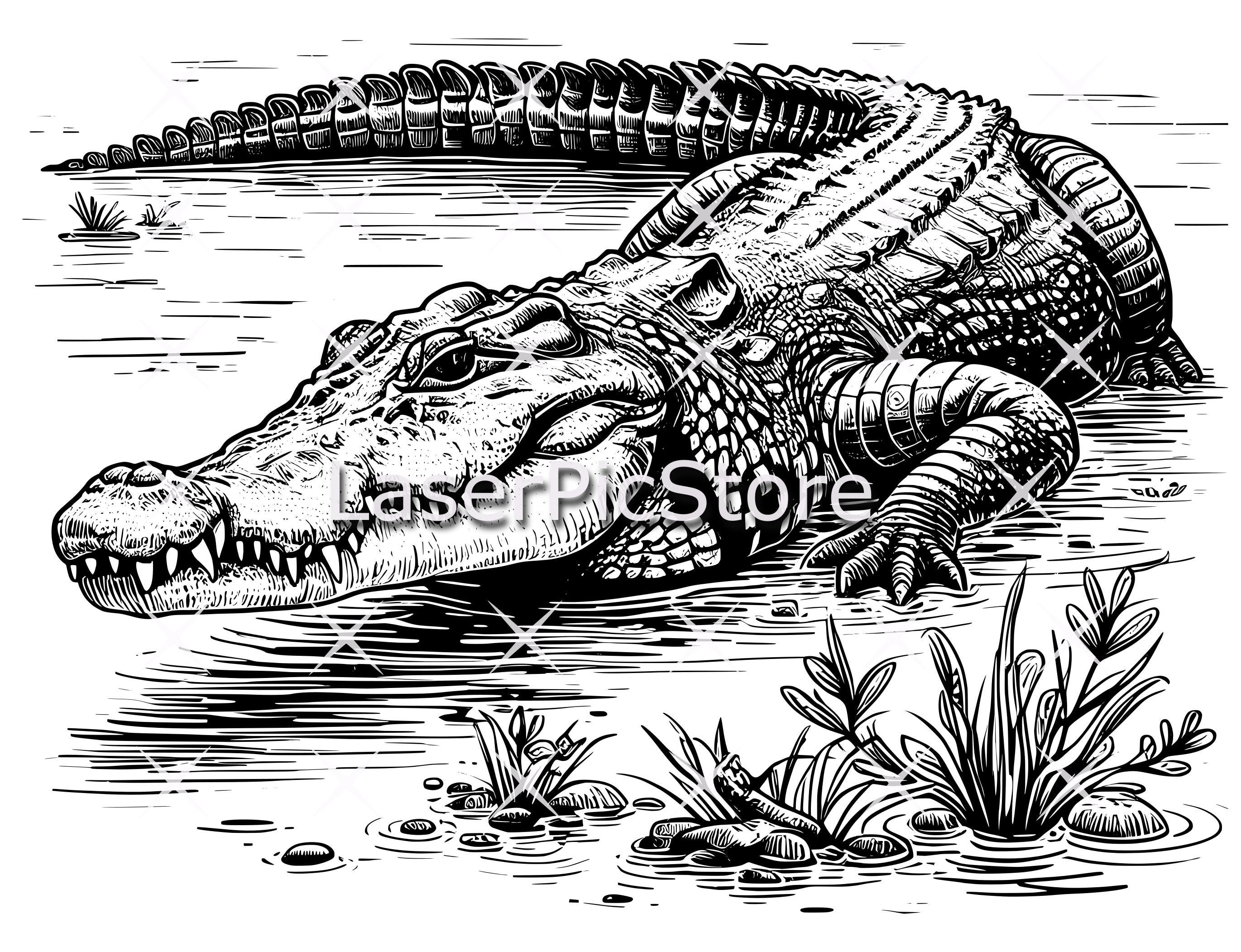 Crocodile Vector File - SVG AI DXF - Australian Animal Svg - Saltwater ...