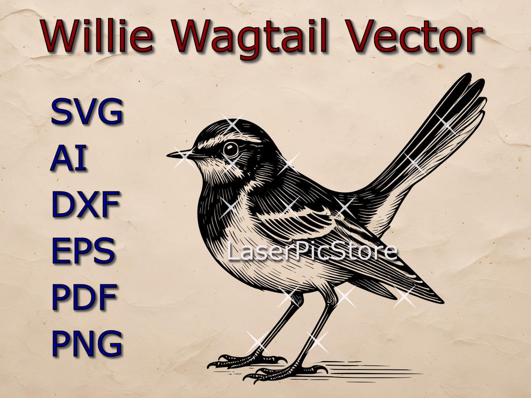 Willie Wagtail Vector File - SVG AI DXF and More - Australian Animal ...