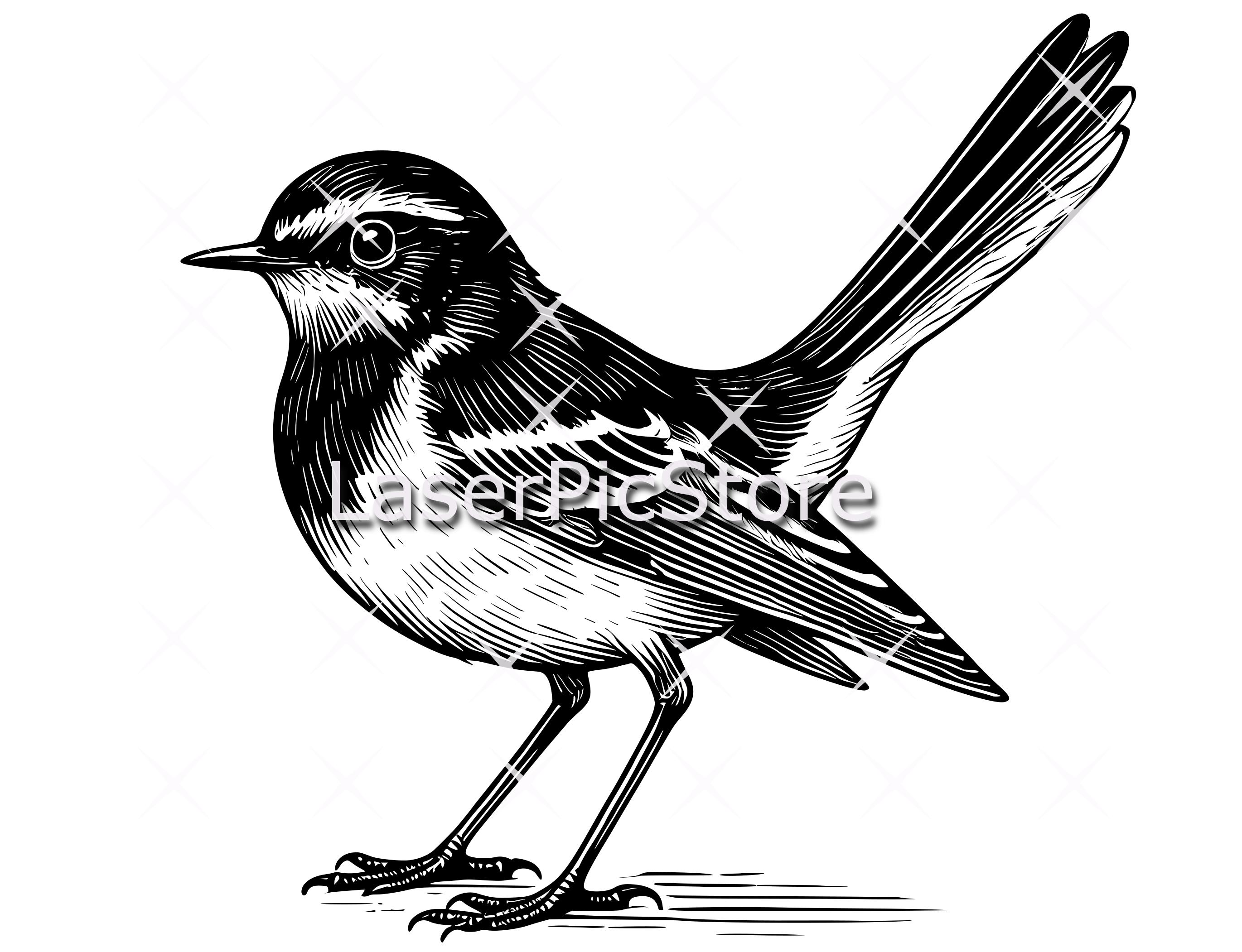 Willie Wagtail Vector File - SVG AI DXF and More - Australian Animal ...
