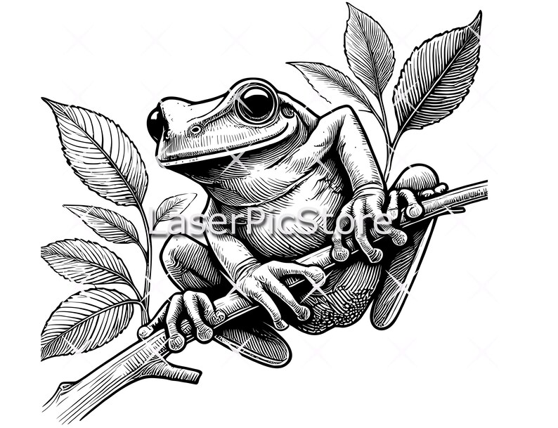 Tree Frog Vector File - SVG AI DXF and More - Australian Animal Svg ...