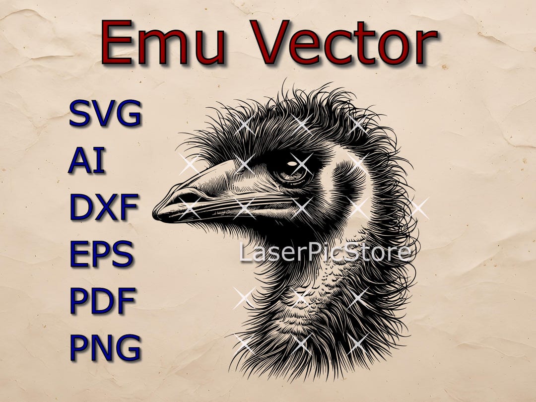 Detailed Vector of an Emu Head - SVG AI DXF and More - Australian ...