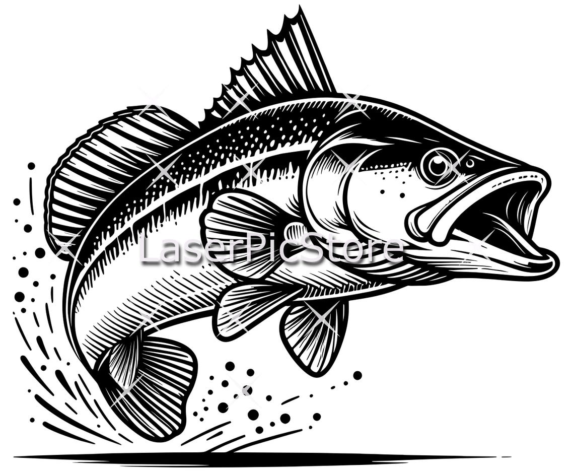 Jumping Barramundi Vector File - SVG PNG DXF - Barramundi Svg ...