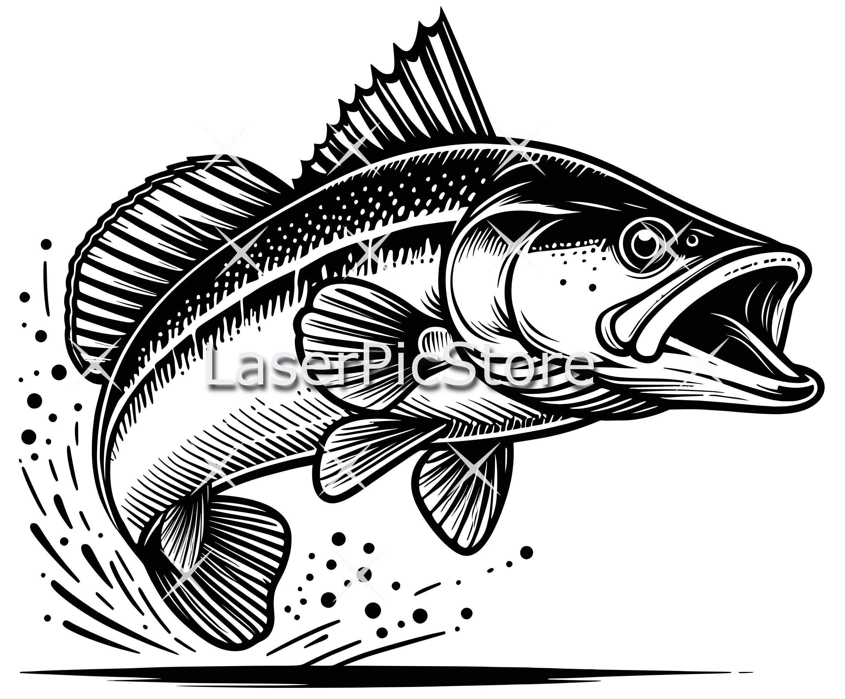Jumping Barramundi Vector File - SVG PNG DXF - Barramundi Svg ...