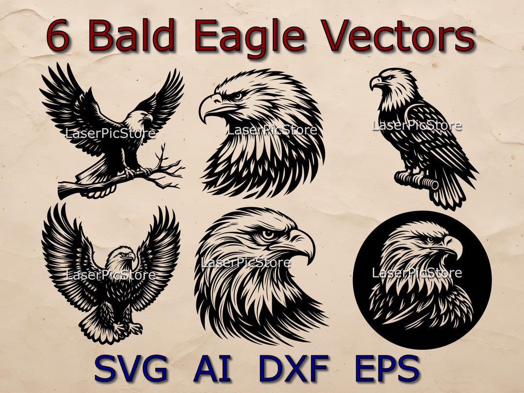 6 Bald Eagle Vector Files - SVG AI DXF Eps - Basic Lines Svg Files ...