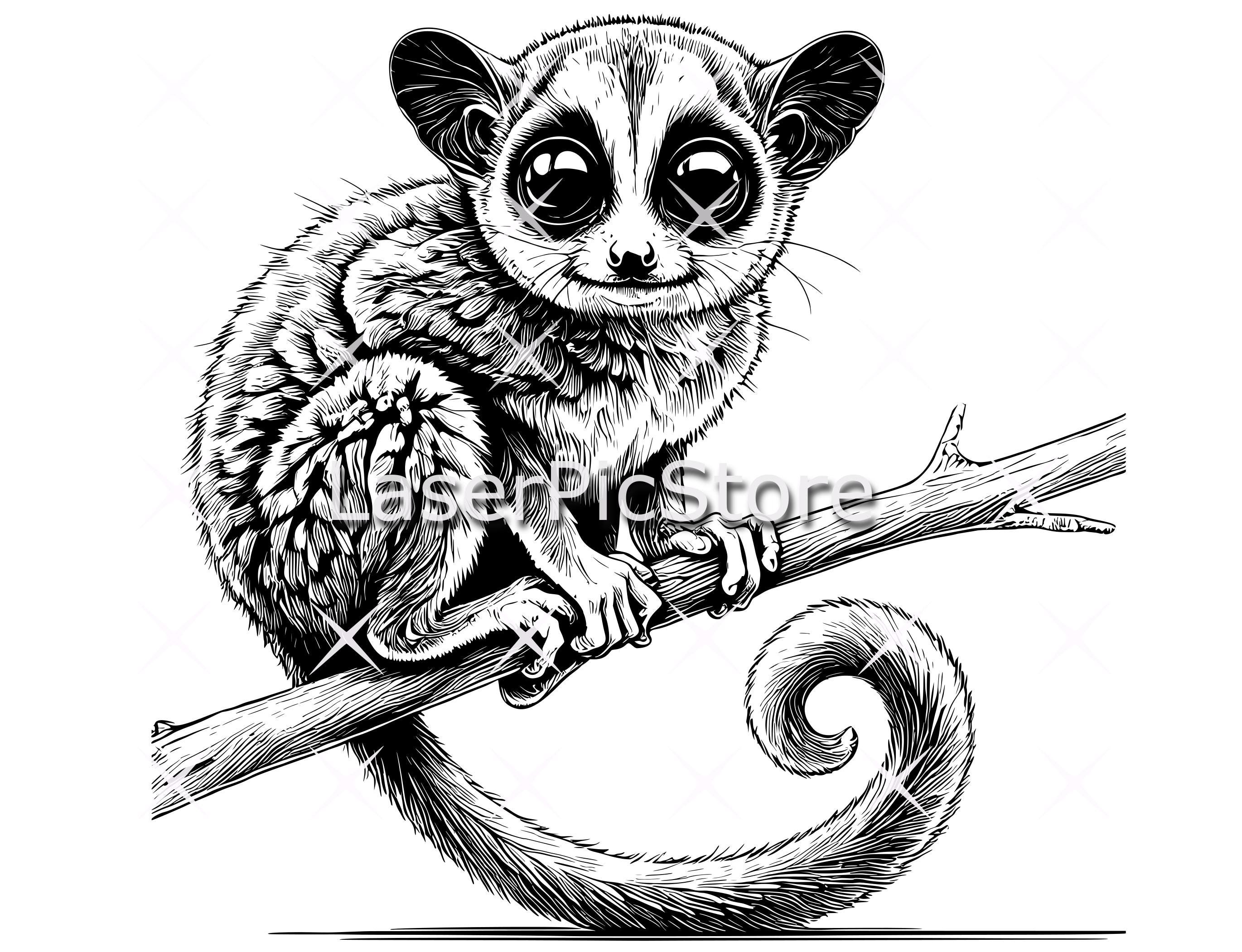 Bush Baby Vector File - SVG AI DXF - African Animal Svg - Nagapie Laser ...