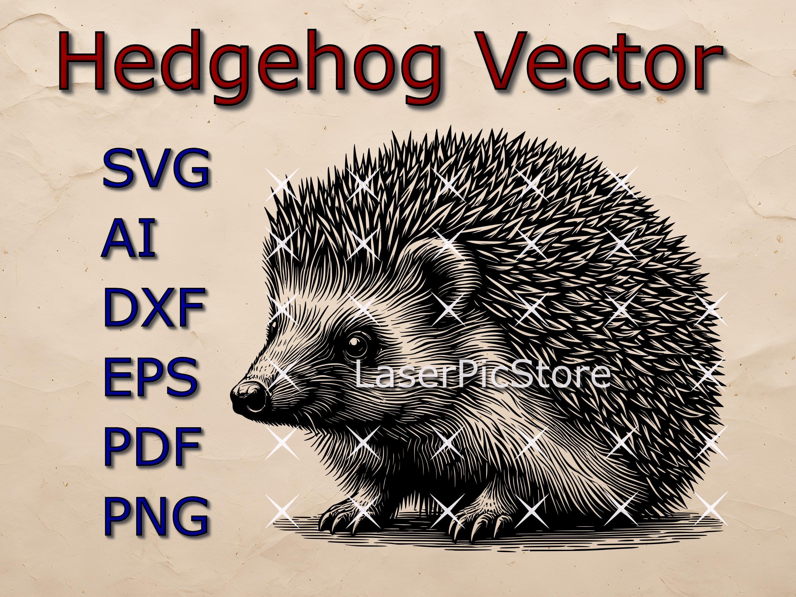 Hedgehog Vector File - SVG AI DXF - European Animal Svg - Laser Files ...