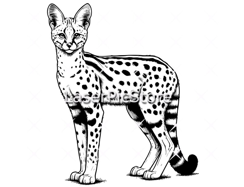 Serval Vector File - SVG AI DXF - African Animal Svg - Wild Cat Laser ...