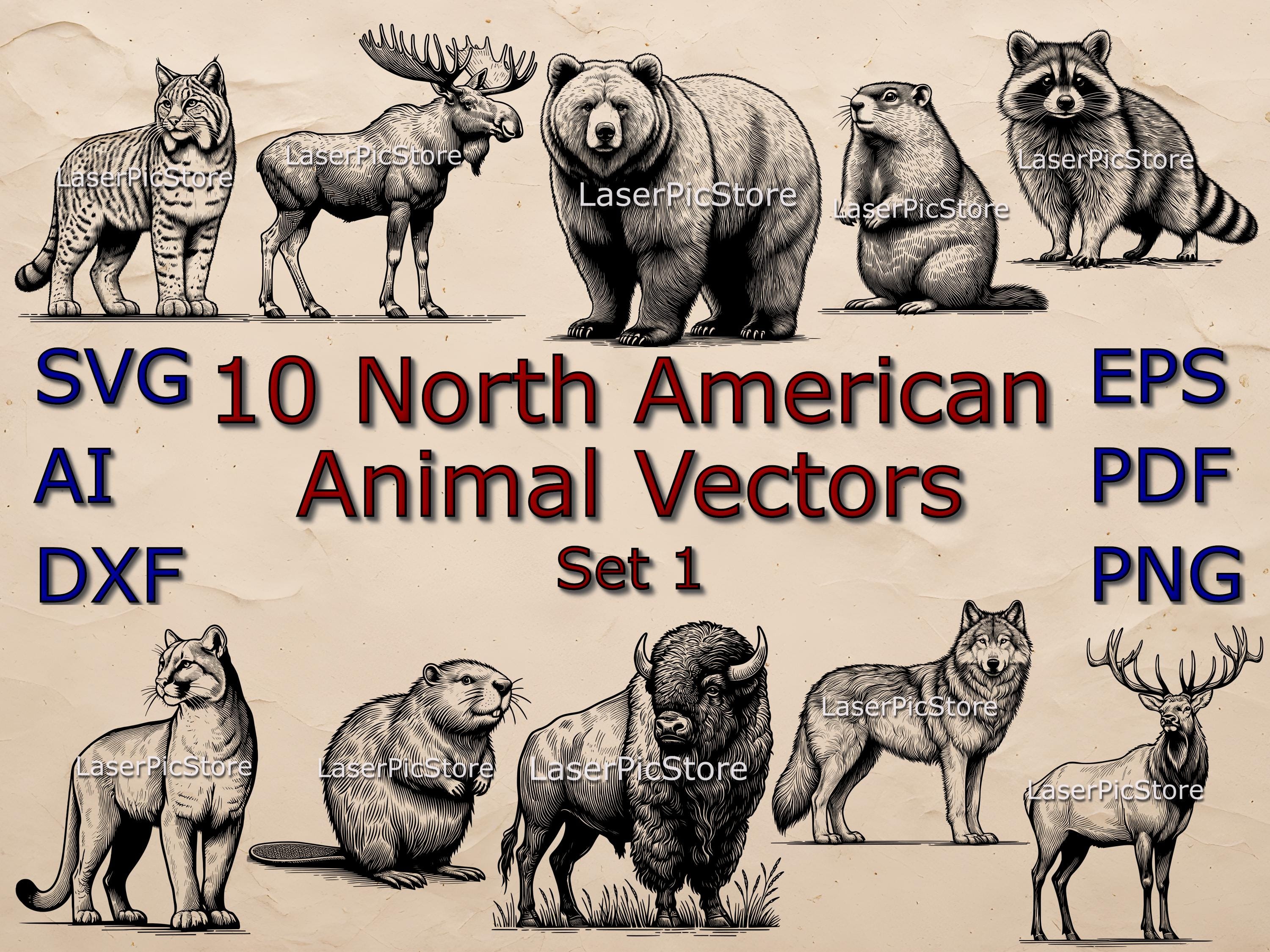 North American Animal Vector Files - SVG AI DXF and More - 10 Animals ...