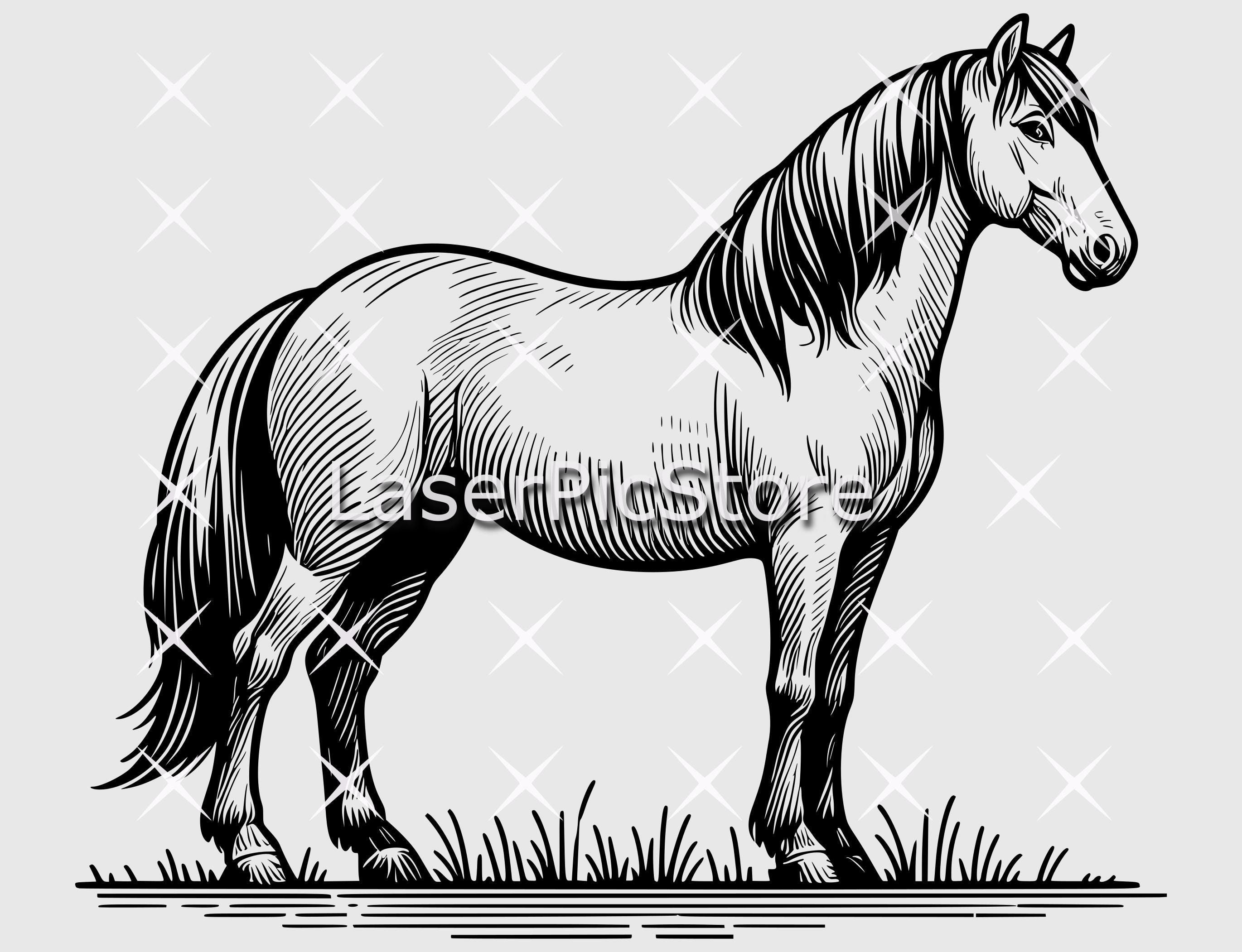 Horse Vector File - SVG AI DXF - Farm Animal Svg - Horse Engraving - Etsy