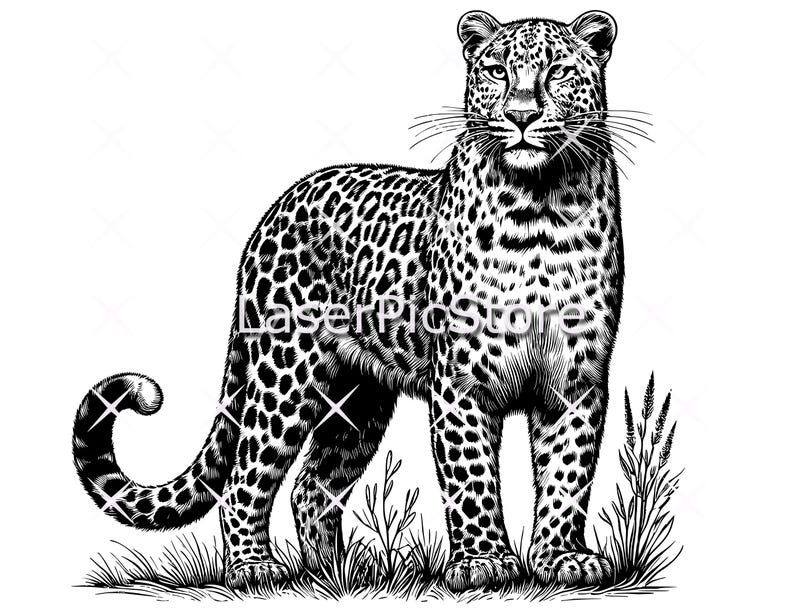 African Animal Vector Files - SVG AI DXF and More - 10 Animals - Set 1 ...