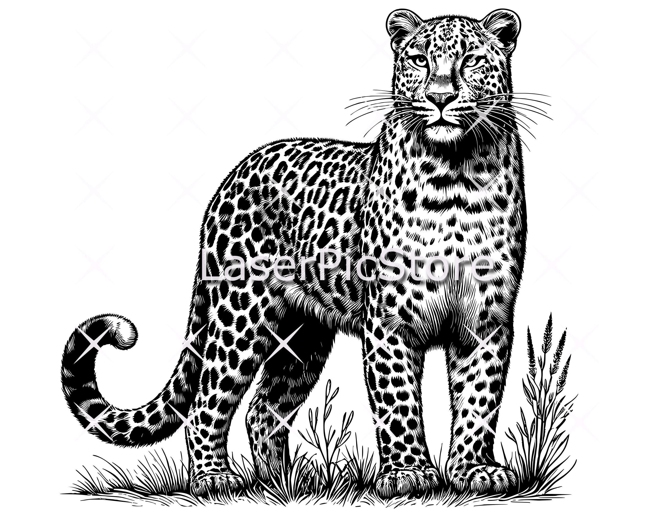 African Animal Vector Files - SVG AI DXF and More - 10 Animals - Set 1 ...