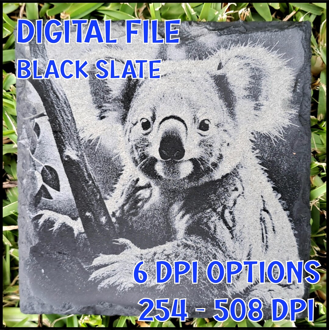 Koala Prepared Laser Image for Black Slate - Fully Prepared Engraving ...