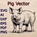 Pig Vector File - SVG AI DXF - Farm Animal Svg - Pig Engraving - Etsy