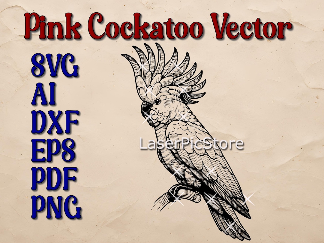 Pink Cockatoo Vector File - SVG AI DXF and More - Australian Animal Svg ...