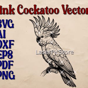 Pink Cockatoo Vector File - SVG AI DXF and More - Australian Animal Svg ...