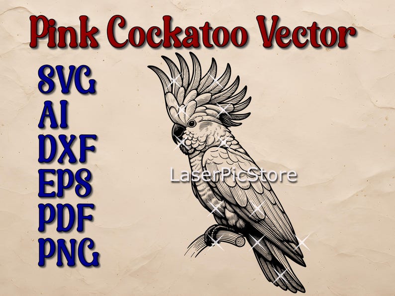 Pink Cockatoo Vector File - SVG AI DXF and More - Australian Animal Svg ...