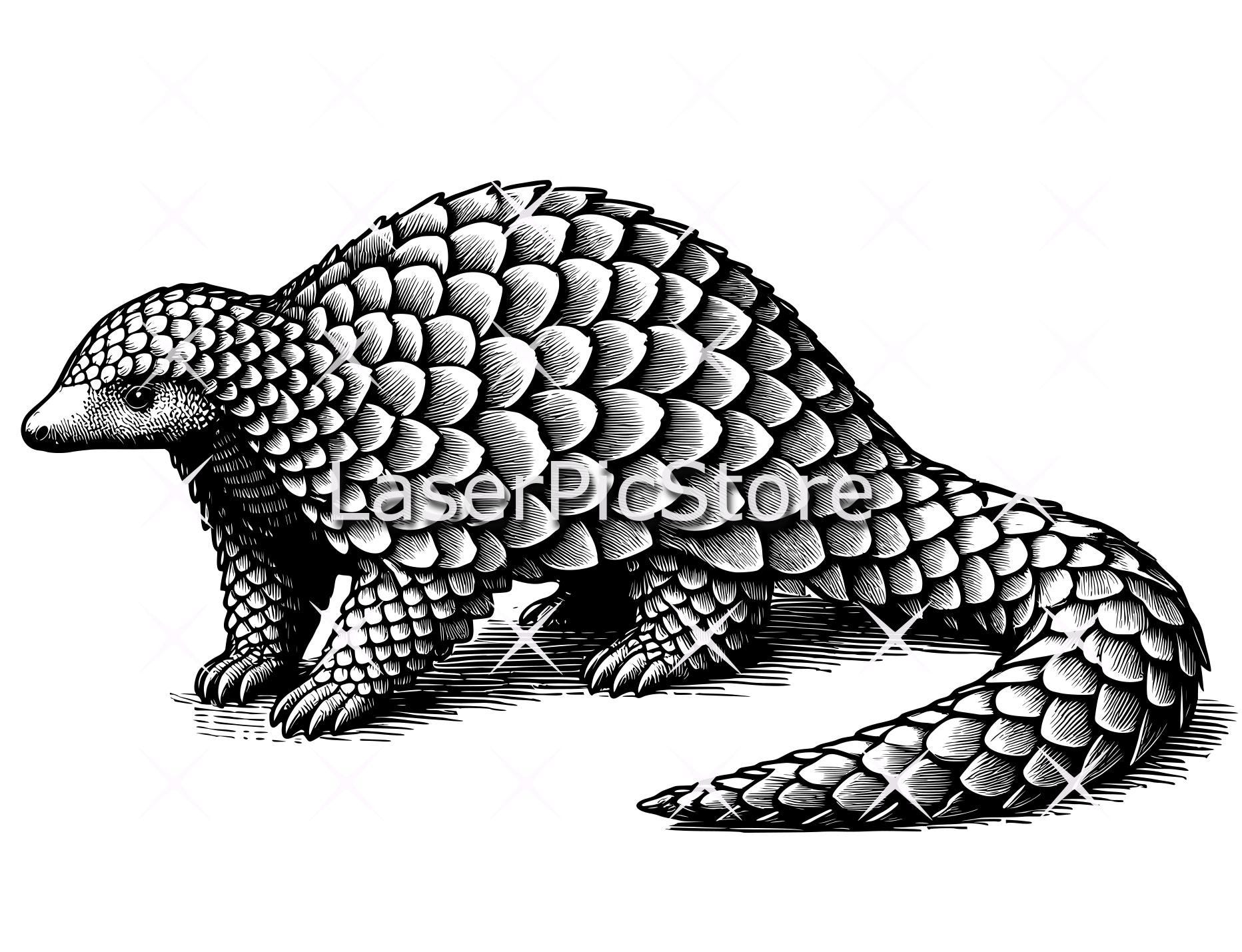 Pangolin Vector File - SVG AI DXF - African Animal Svg - Pangolin Laser ...