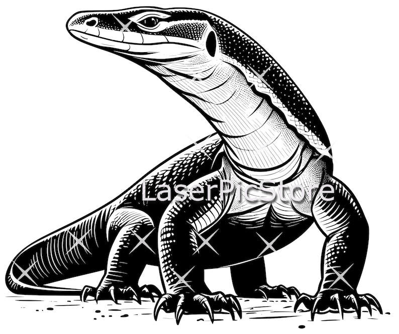 Australian Animal Vector Files - SVG AI DXF and More - 10 Animals - Set ...