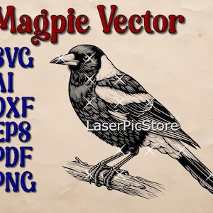 Magpie Vector File - SVG AI DXF and More - Australian Birs Svg - Etsy ...