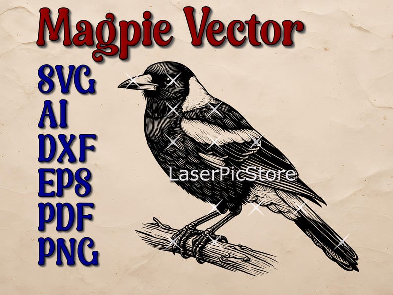 Magpie Vector File - SVG AI DXF and More - Australian Birs Svg - Etsy ...