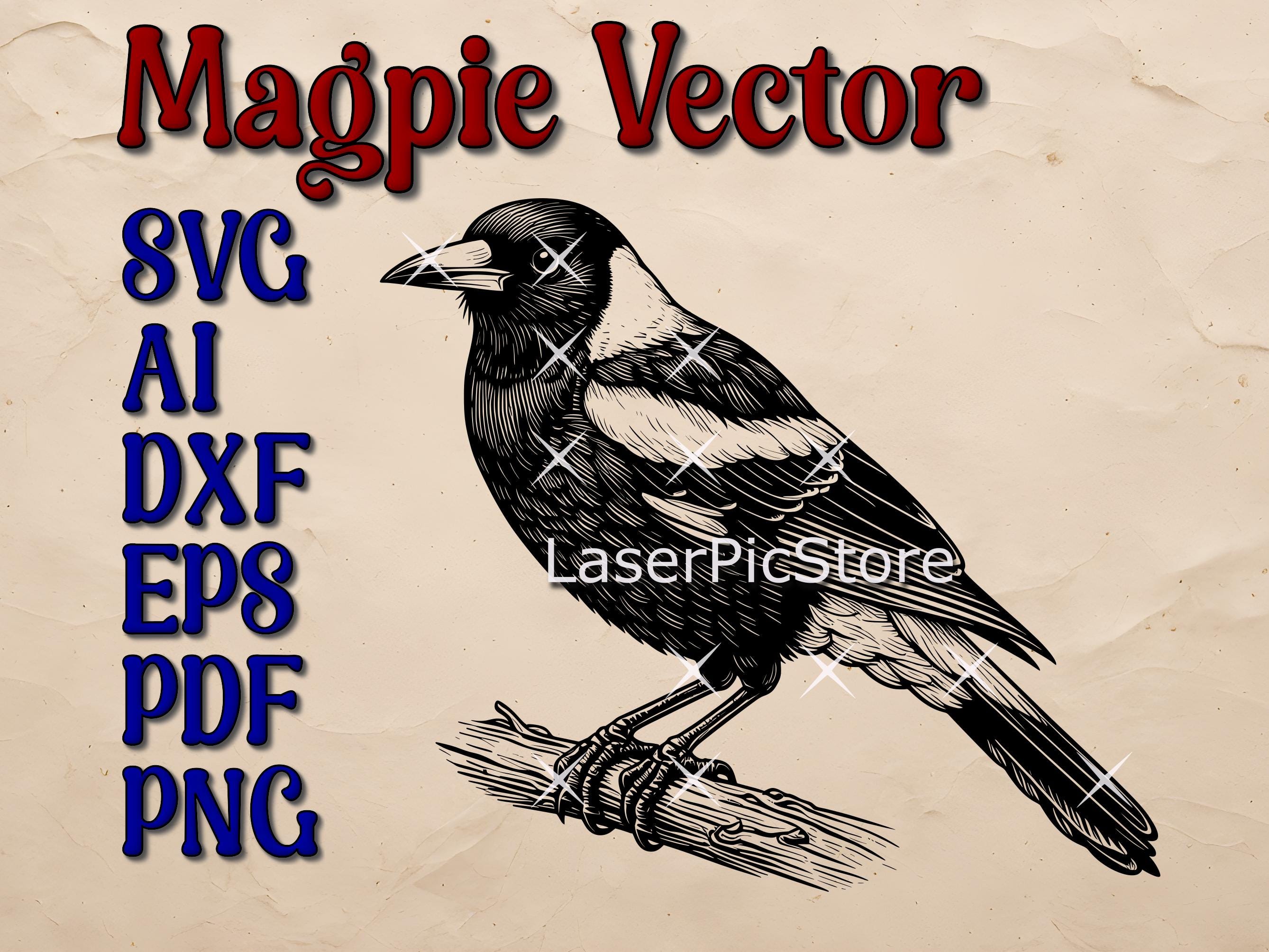 Magpie Vector File - SVG AI DXF and More - Australian Birs Svg - Etsy ...