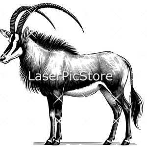 Sable Antelope Vector File - SVG AI DXF - African Animal Svg - Sable ...