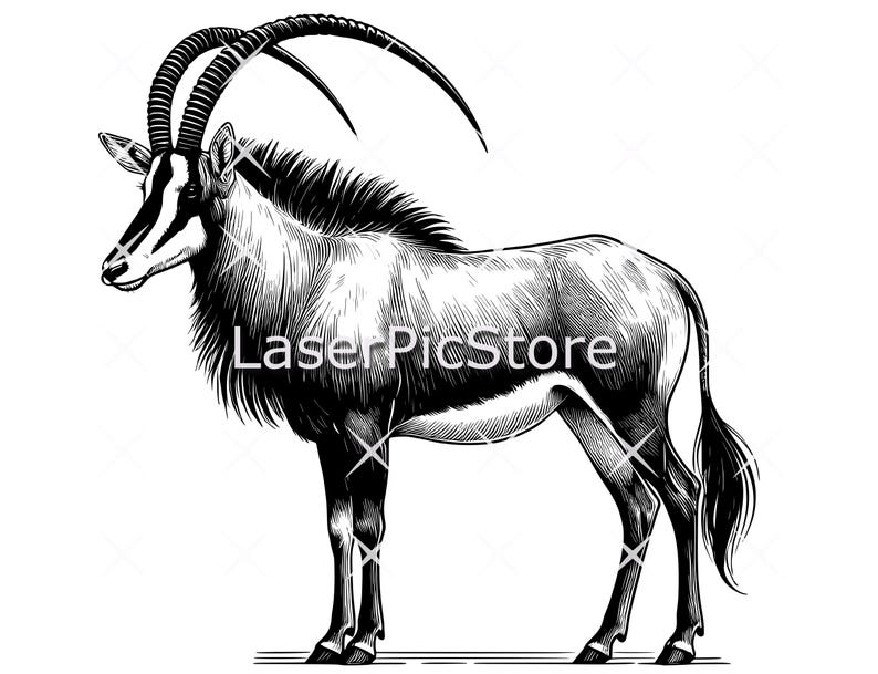 Sable Antelope Vector File - SVG AI DXF - African Animal Svg - Sable ...