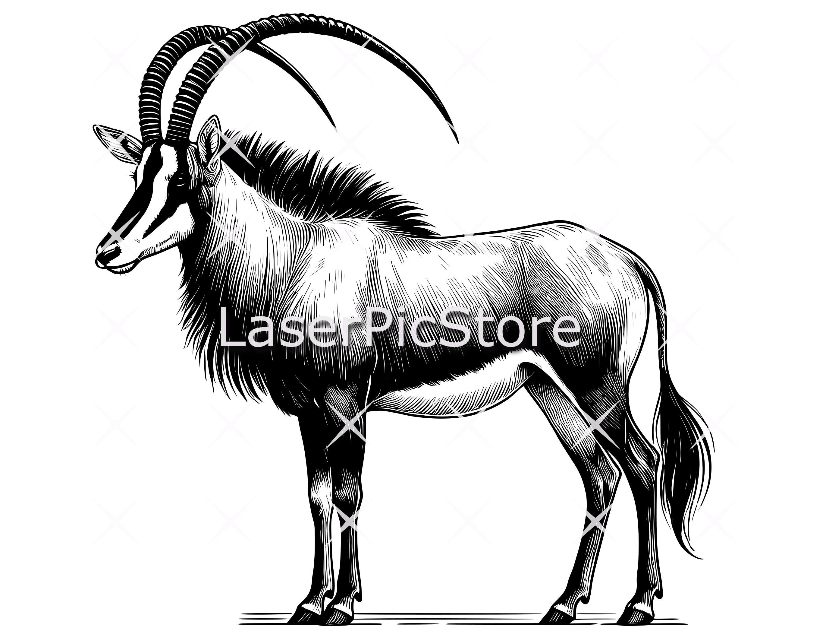 Sable Antelope Vector File - SVG AI DXF - African Animal Svg - Sable ...