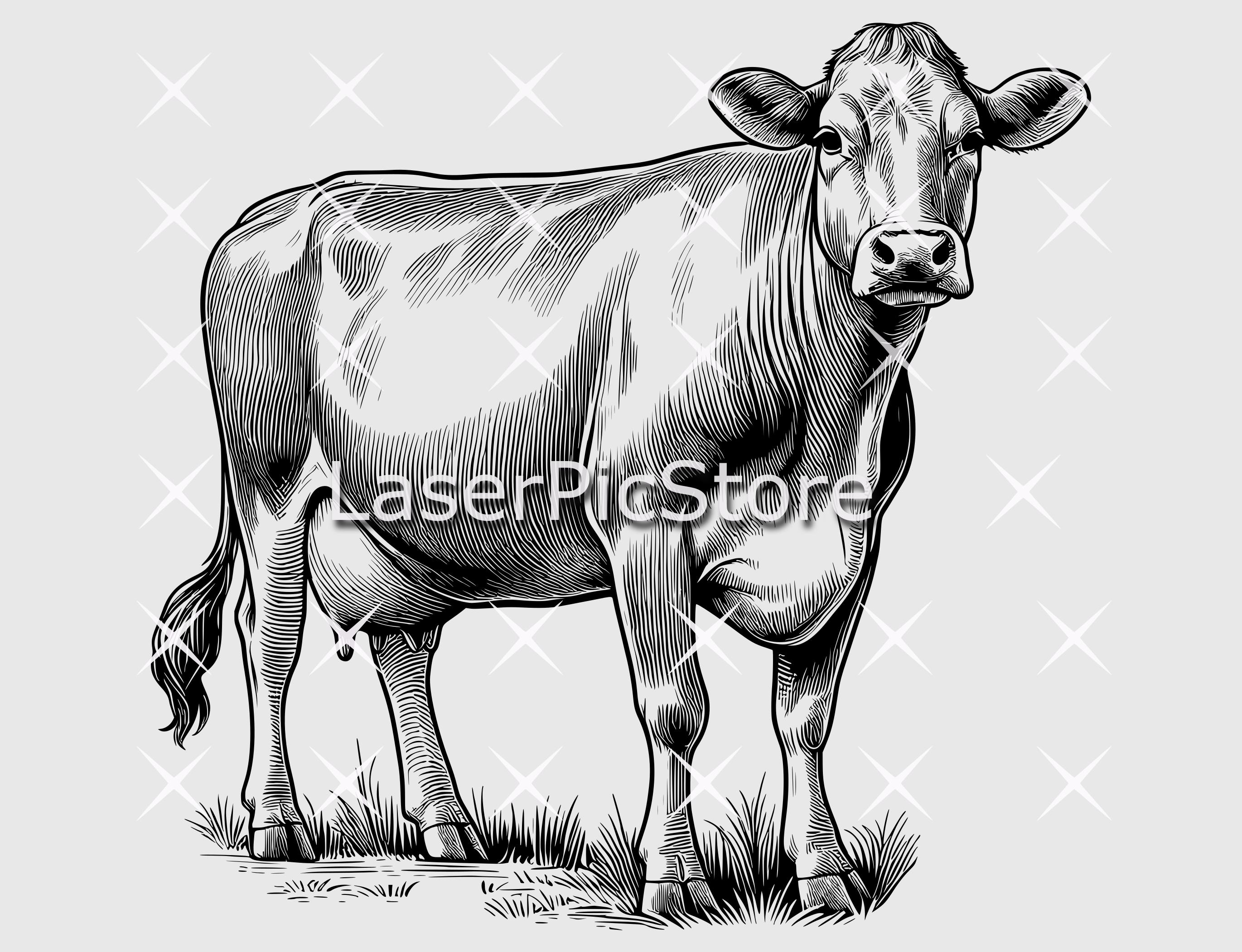 Cow Vector File - SVG AI DXF - Farm Animal Svg - Cattle Engraving - Etsy